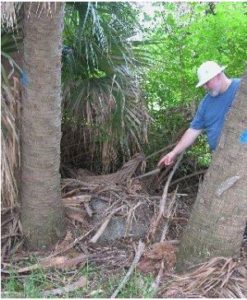 Radio History by the Bay – The Broadcasters Desktop Resource